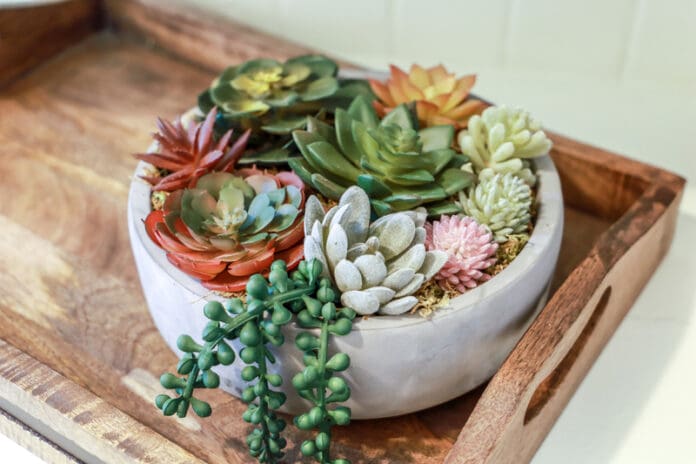 This Simple Trick Will Make Fake Plants Look Real