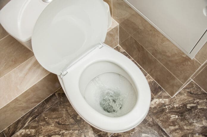 These Common Toilet Warning Signs Mean Something Is Seriously Wrong