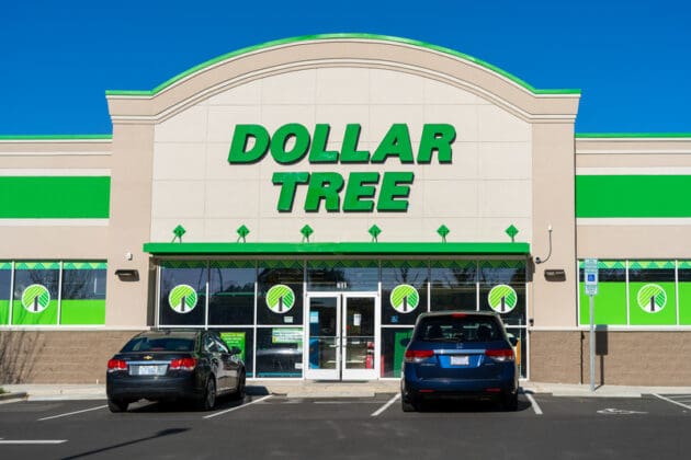 Best Dollar Tree Items Worth Buying Every Time You Shop